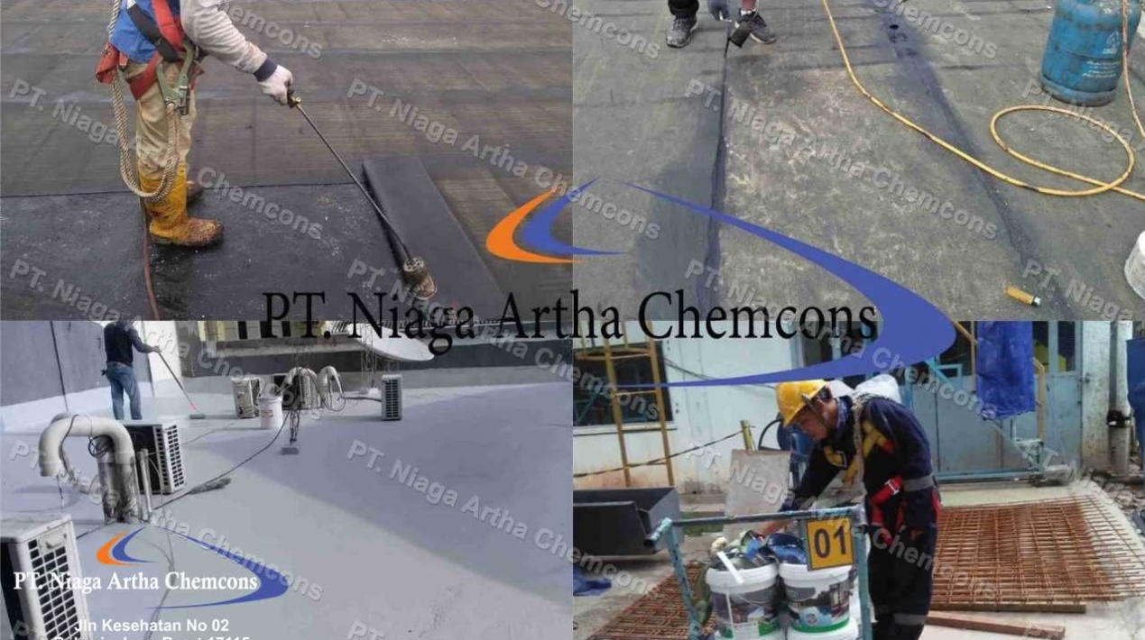 Index of /wp-content/uploads/2019/08/